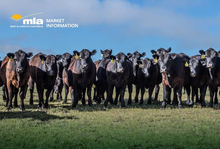 Meat & Livestock Australia - serving red meat and livestock producers ...