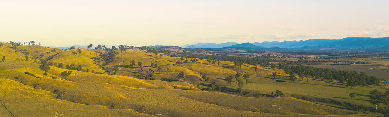 Carbon EDGE | Meat & Livestock Australia