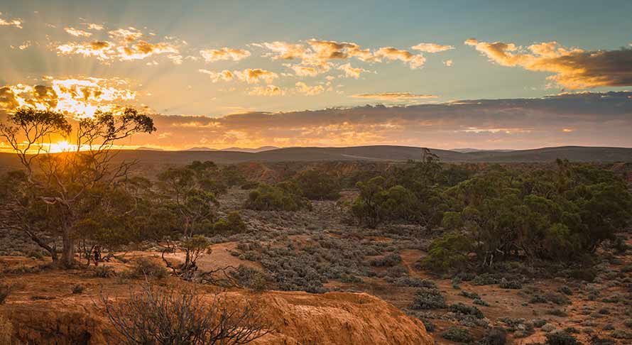 Rangelands Grazing fundamentals EDGE | Kalgoorlie, WA | Meat ...