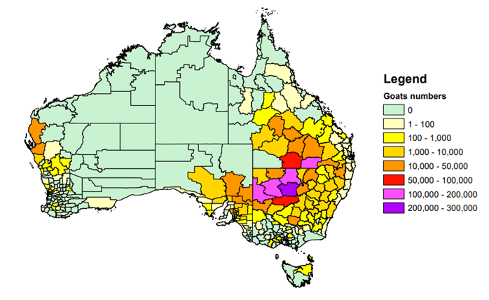 Goats hub | Meat & Livestock Australia