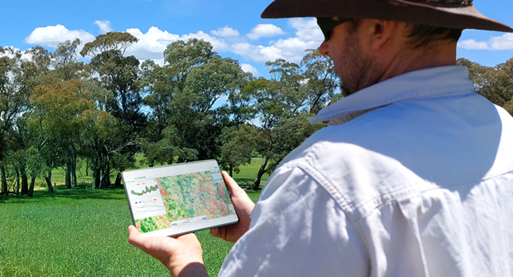 Five tools you can use to improve your grazing land management skills ...