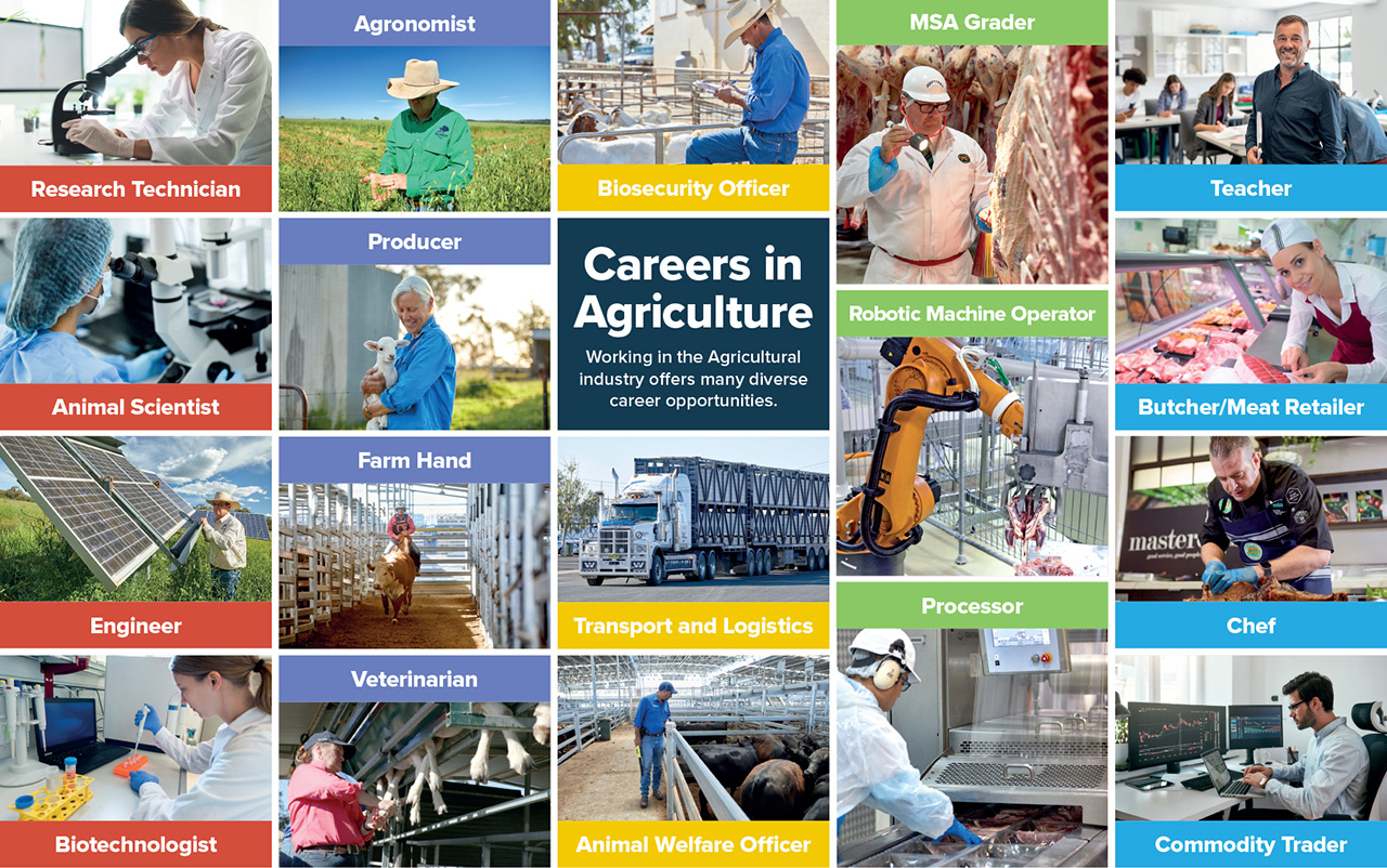Red meat industry career hub | Meat & Livestock Australia