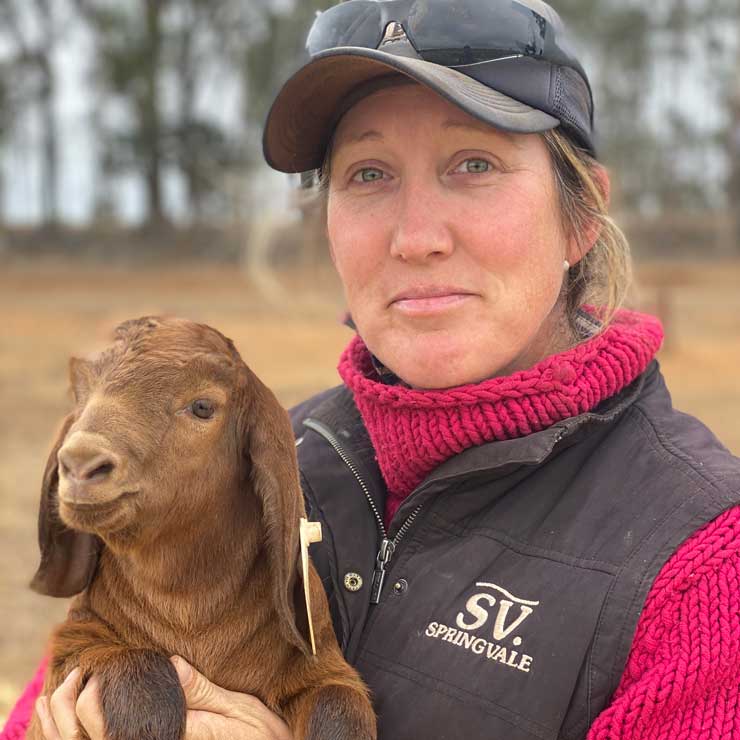 Strategic supplementary feeding to boost production | Meat & Livestock Australia