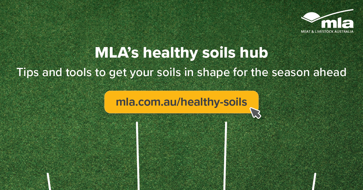 Kicking off with healthy, fertile soils | Meat & Livestock Australia