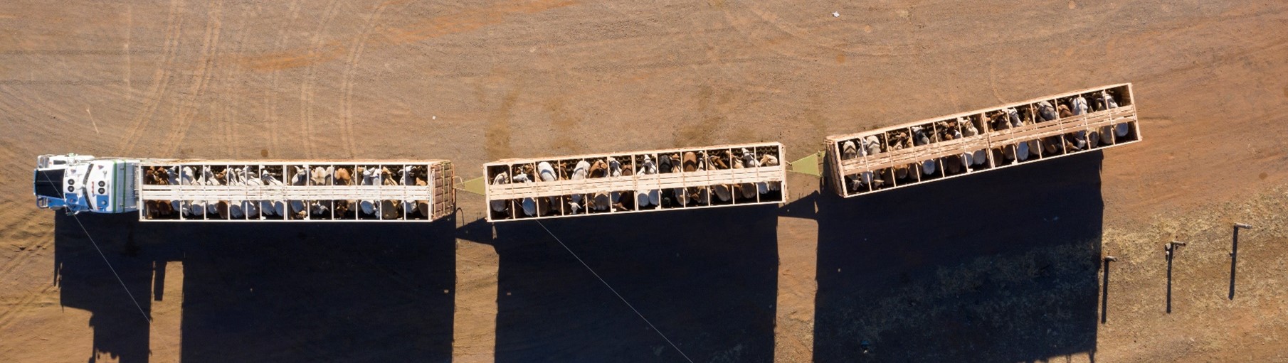 Fit to load | Meat & Livestock Australia