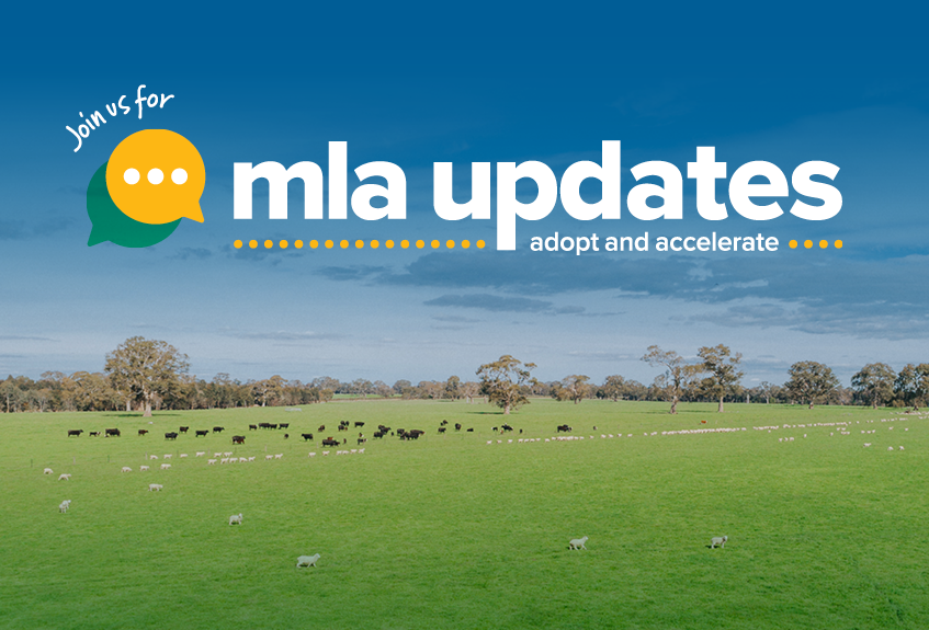 Meat & Livestock Australia - serving red meat and livestock producers ...