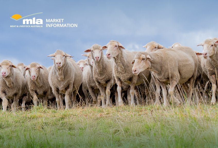 Meat & Livestock Australia - serving red meat and livestock producers ...