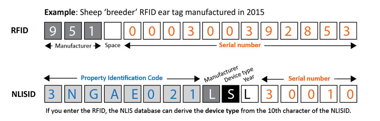 Tagging livestock | Meat & Livestock Australia