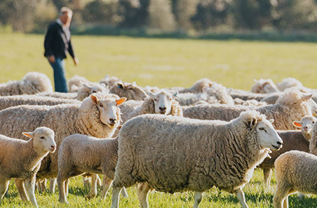 MLA adoption programs delivered nearly $1 billion* worth of benefits ...