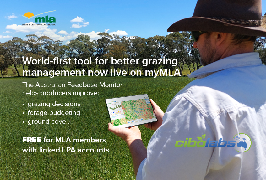 World-first tool for better grazing management launched for red meat ...