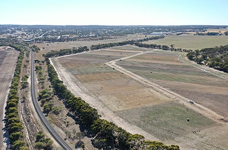 Short duration lairage boosts productivity and profitability | Meat ...