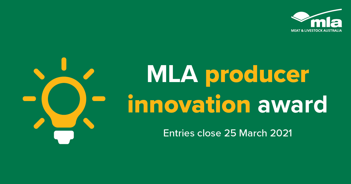 MLA Producer Innovation Award | Meat & Livestock Australia