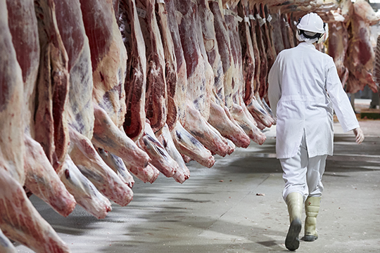 MLA at Beef Australia 2021 | Meat & Livestock Australia