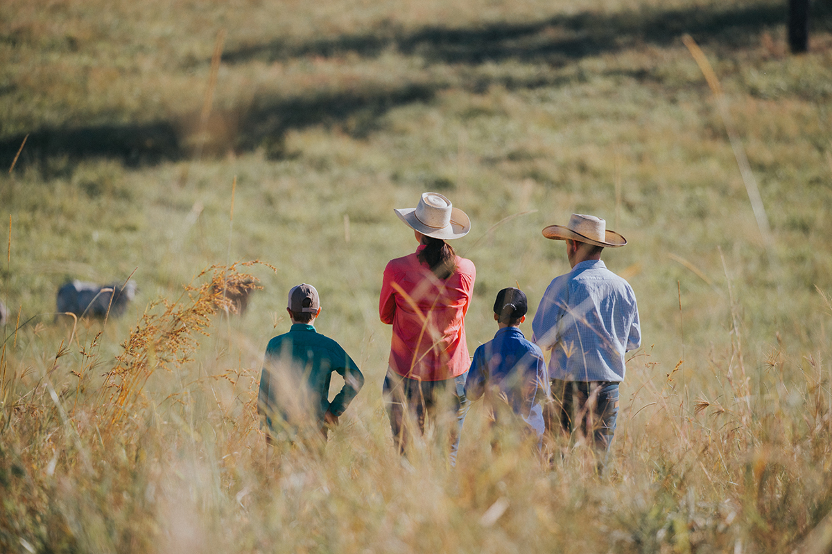 MLA to launch Carbon EDGE program for red meat producers | Meat ...