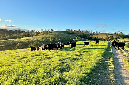 MLA’s popular Carbon EDGE is coming to Tasmania | Meat & Livestock ...