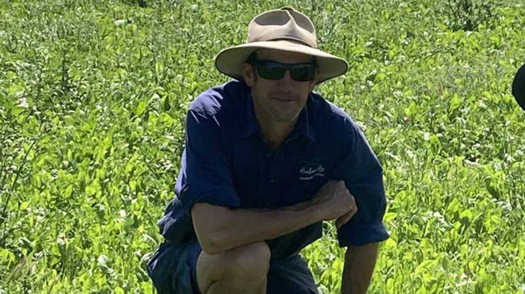 Pasture mix makes headway to fill feed gap | Meat & Livestock Australia