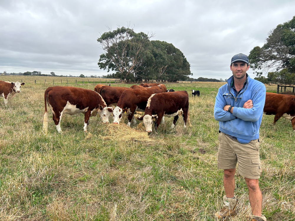 Robust herd benefits from new insights | Meat & Livestock Australia