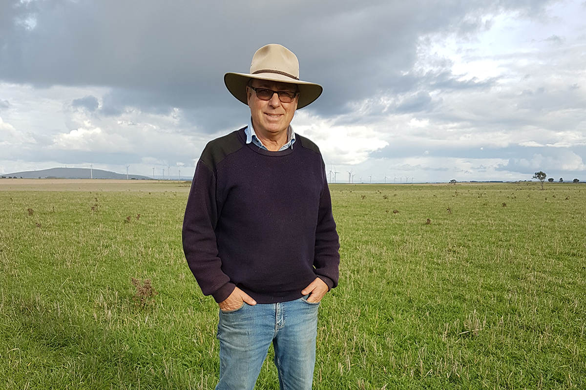 Year-round attention to detail drives pasture productivity | Meat ...