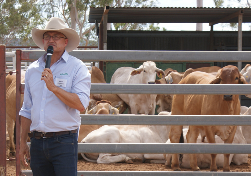 Reducing purchasing risk and increasing profitability | Meat ...