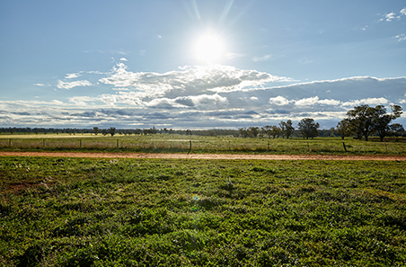 New Carbon 101 training package available now | Meat & Livestock Australia