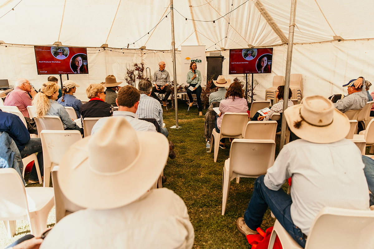 MLA events to boost your grazing land management skills | Meat ...