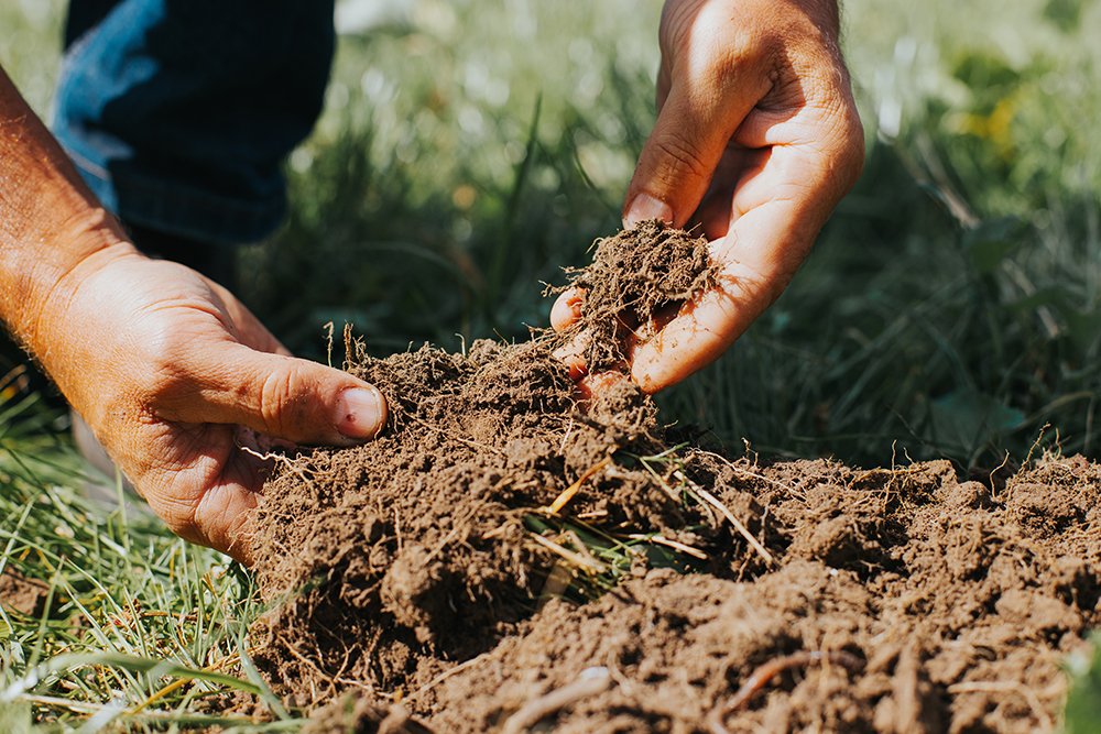 What is the soil moisture status in your state? | Meat & Livestock ...
