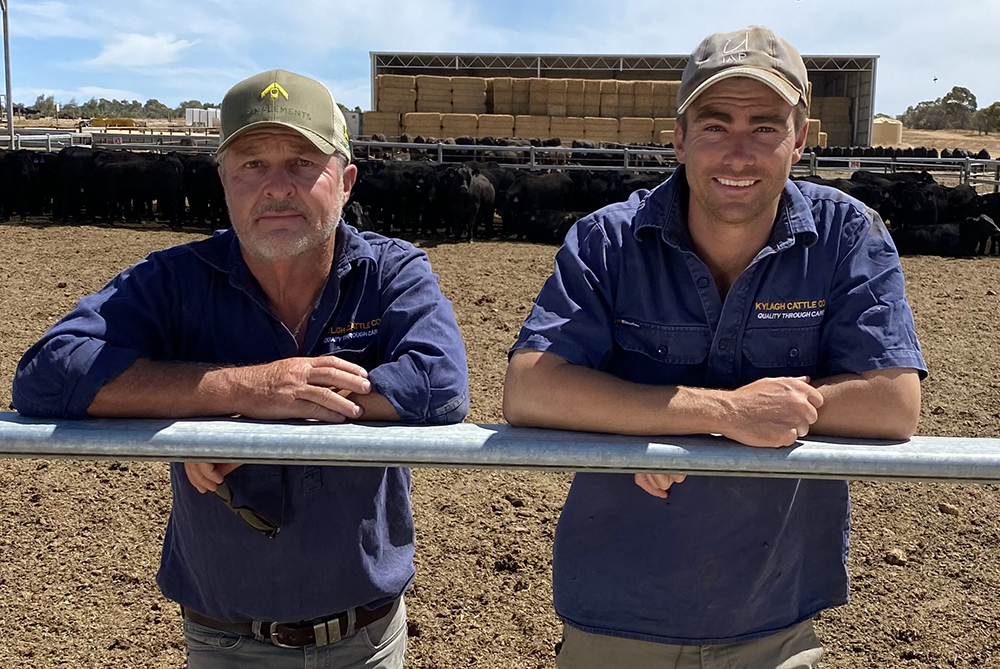 Animal wellbeing focus delivers results | Meat & Livestock Australia