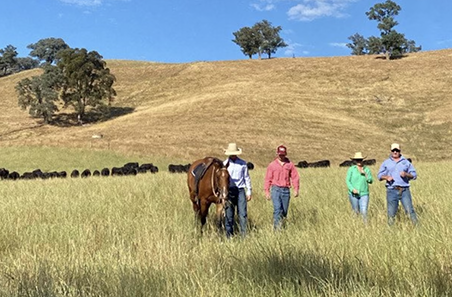 What producers can expect from MLA Updates next week | Meat & Livestock ...