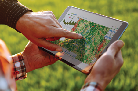 New consultant login adds value to the AFM | Meat & Livestock Australia