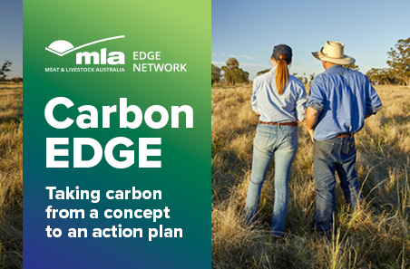 Carbon EDGE deliverer EOI now open | Meat & Livestock Australia