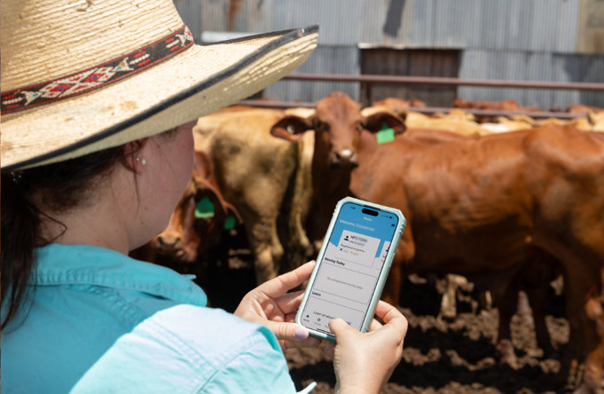 Enhanced eNVD system now more accessible | Meat & Livestock Australia