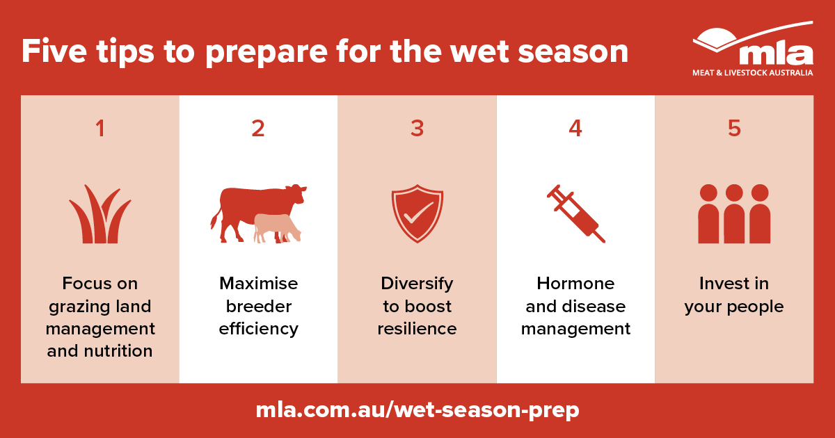 Five tips to prepare for the wet season | Meat & Livestock Australia
