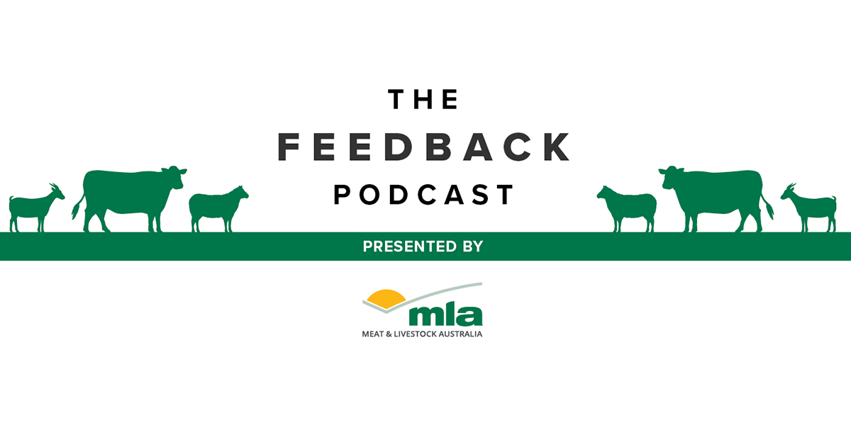 Latest monthly MLA podcast now available | Meat & Livestock Australia