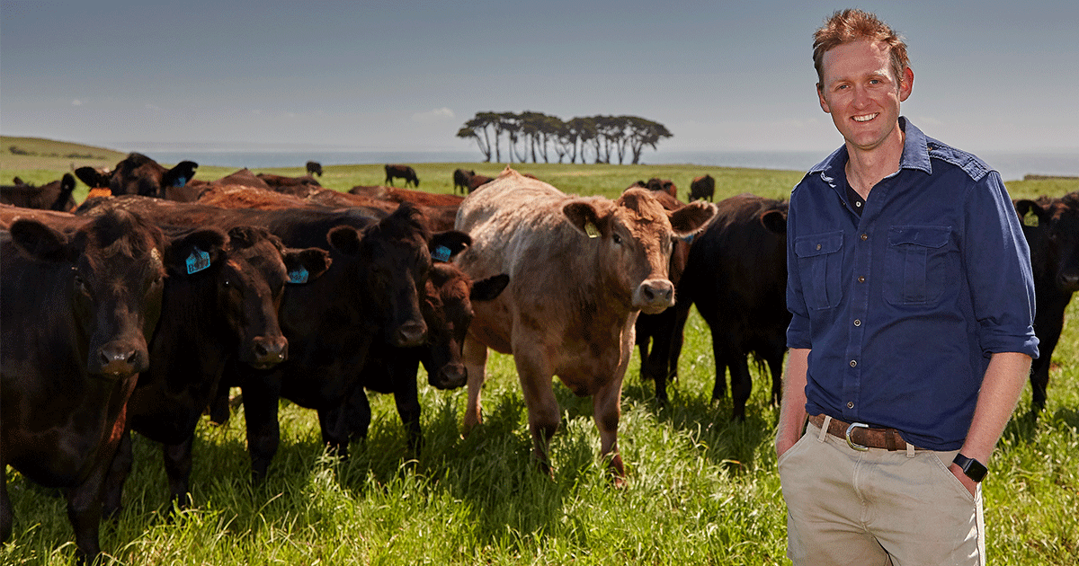 The fine art of producing better beef | Meat & Livestock Australia