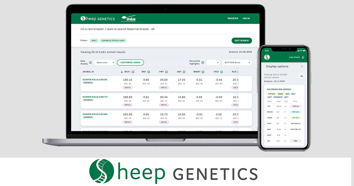 ASBV search tool unlocks genetic benefits for sheep producers | Meat ...