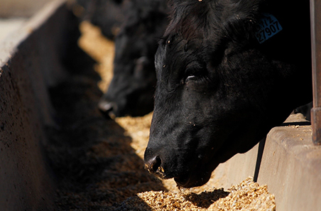 Industry remains resilient despite significant volatility in 2023: MLA ...