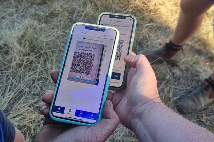 Six tips to get the most out of your eNVD app | Meat & Livestock Australia