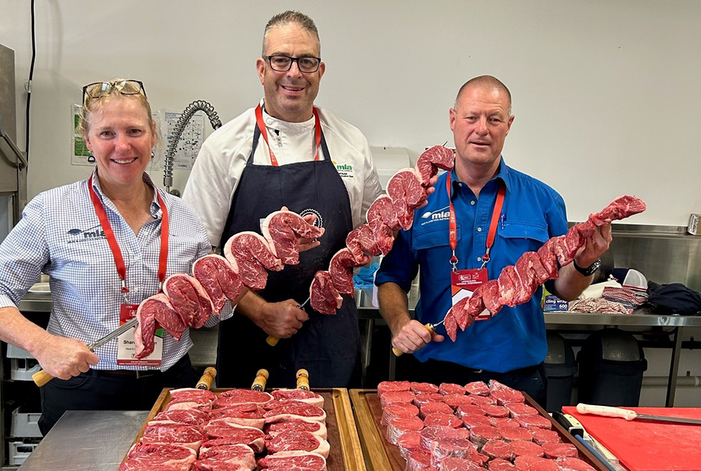 Professional transportation key to high quality meat | Meat & Livestock Australia