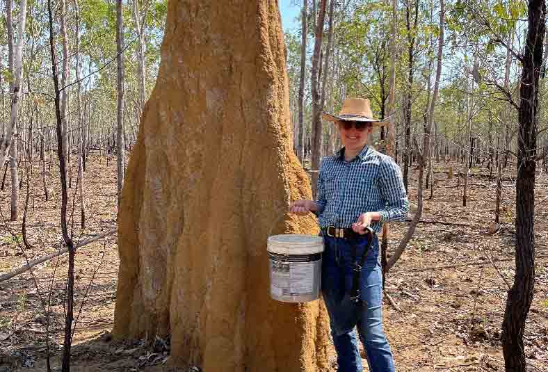 Putting the (soil) P in productivity | Meat & Livestock Australia