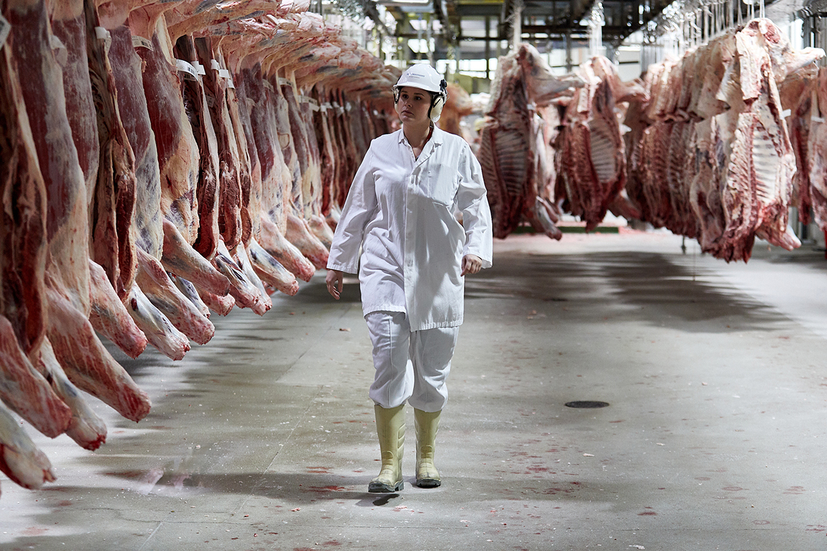 Cattle slaughter expected to fall in April | Meat & Livestock Australia