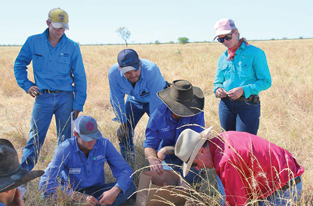 Five training programs for improving grazing land management | Meat ...