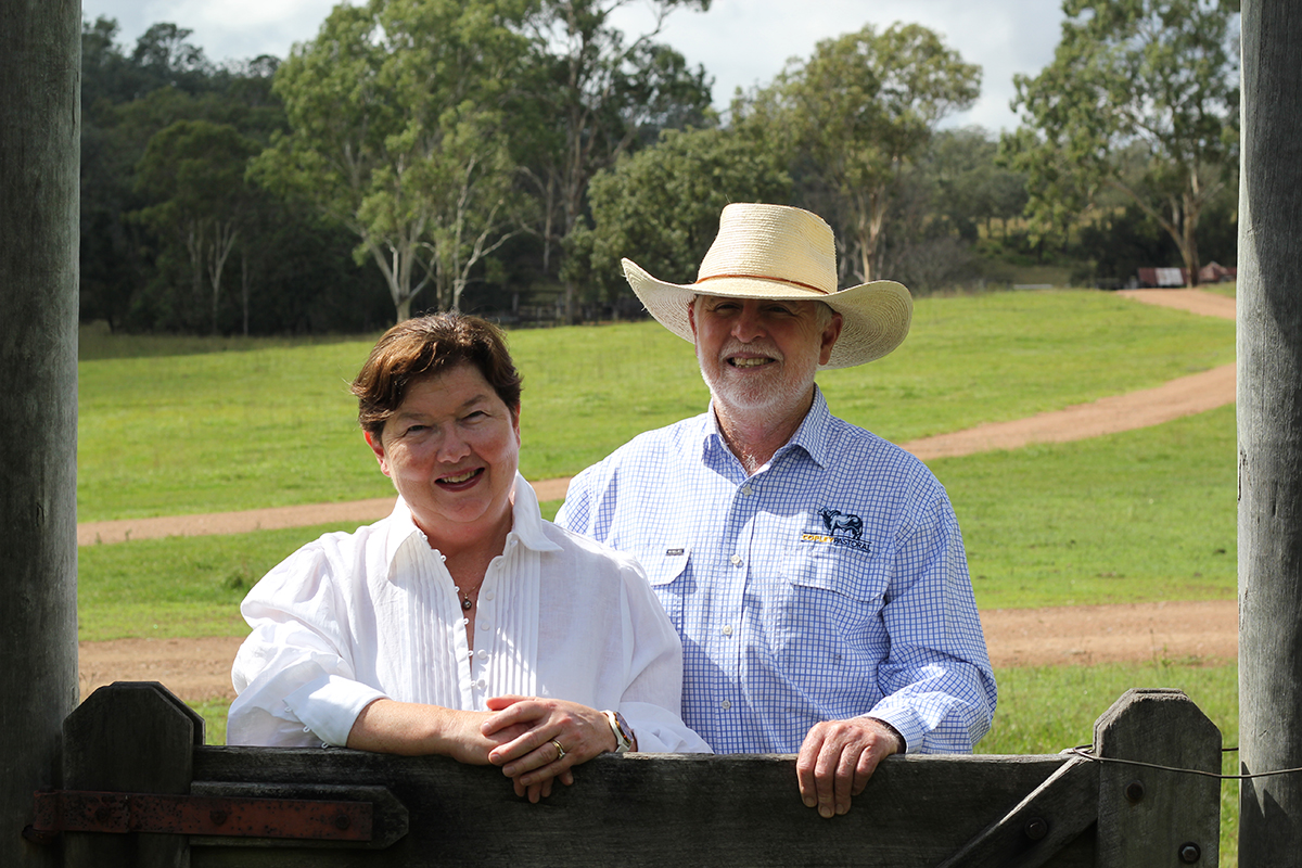 Genetics a stalwart driver of progress | Meat & Livestock Australia
