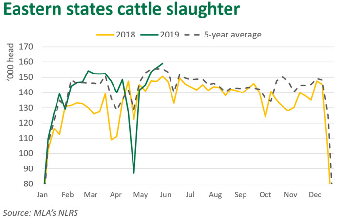Cattle slaughter at four-year high | Mirage News Cattle slaughter at four-year high | Mirage News
