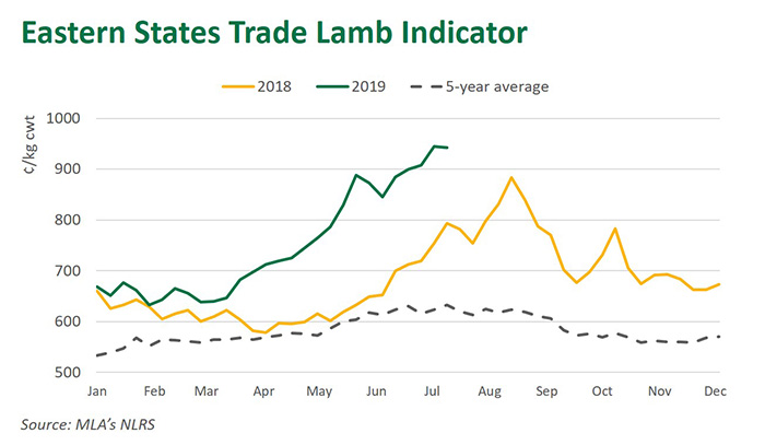 Lamb Buyers Take All Options Meat And Livestock Australia