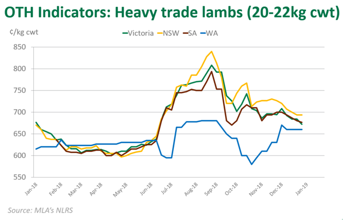 Lamb Market Update Prices Continue To Ease Meat And Livestock Australia