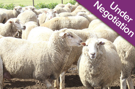 Commercialisation opportunities | Meat & Livestock Australia