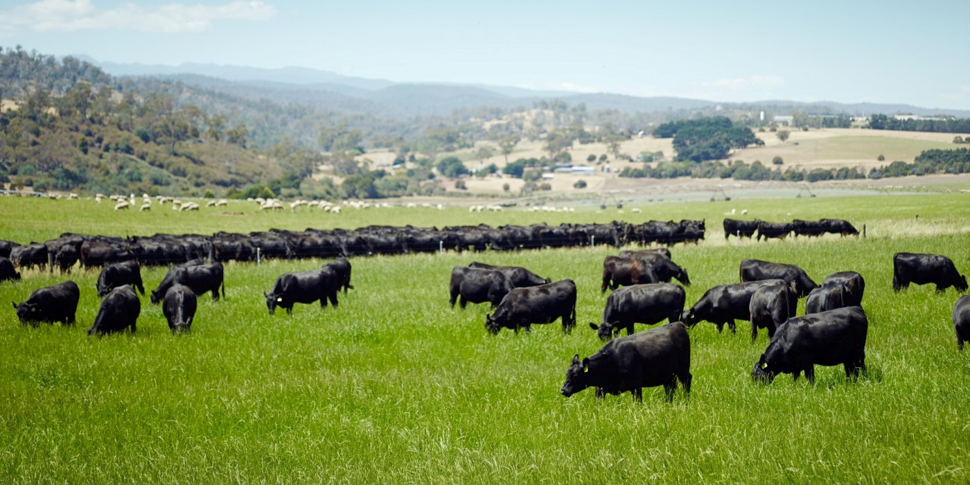 Red meat and livestock sector recognised for its climate sustainability ...