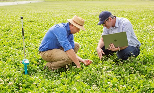 ABSF News Top Three | Mirage News