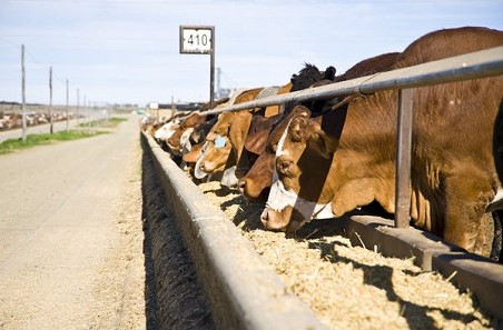 MLA seeks industry champions for new Red Meat Ambassadors program ...